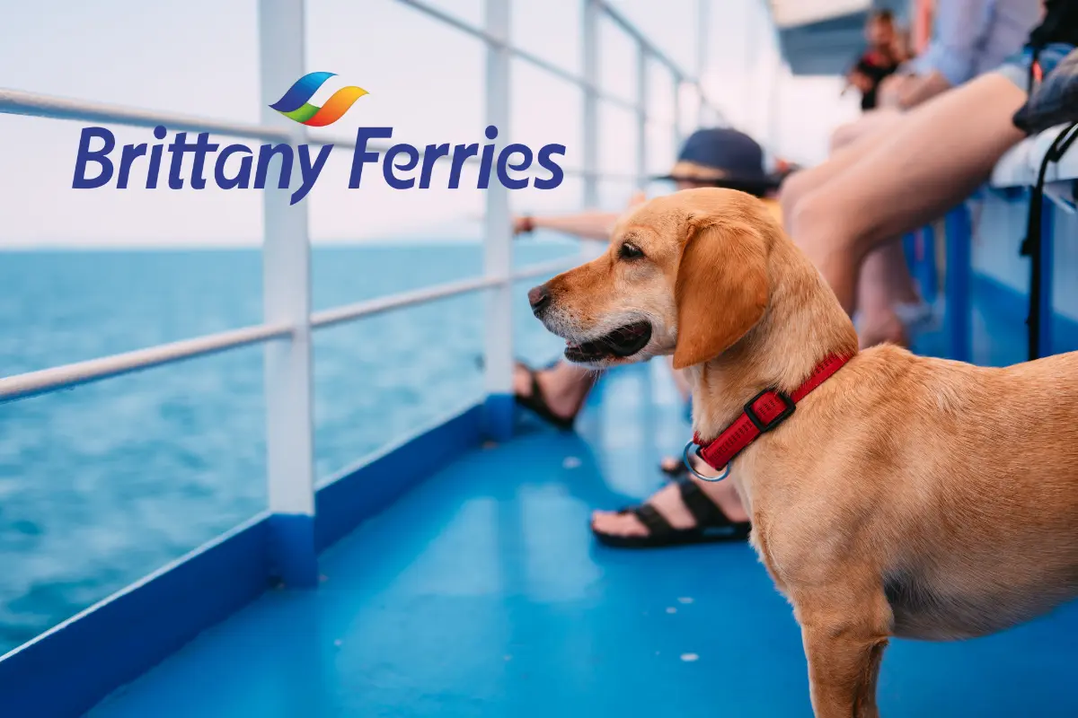 Brittany Ferries dogs on board | Cabins, fees, tips & more
