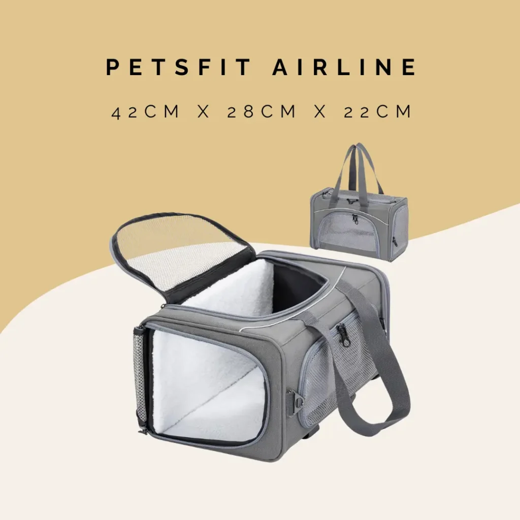 ITA Airways pet policy in 2025 | Pet Abroad
