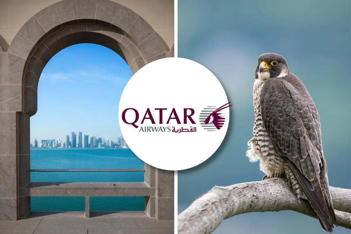 Qatar Airways pet policy 2026 | Dogs, cats & falcons